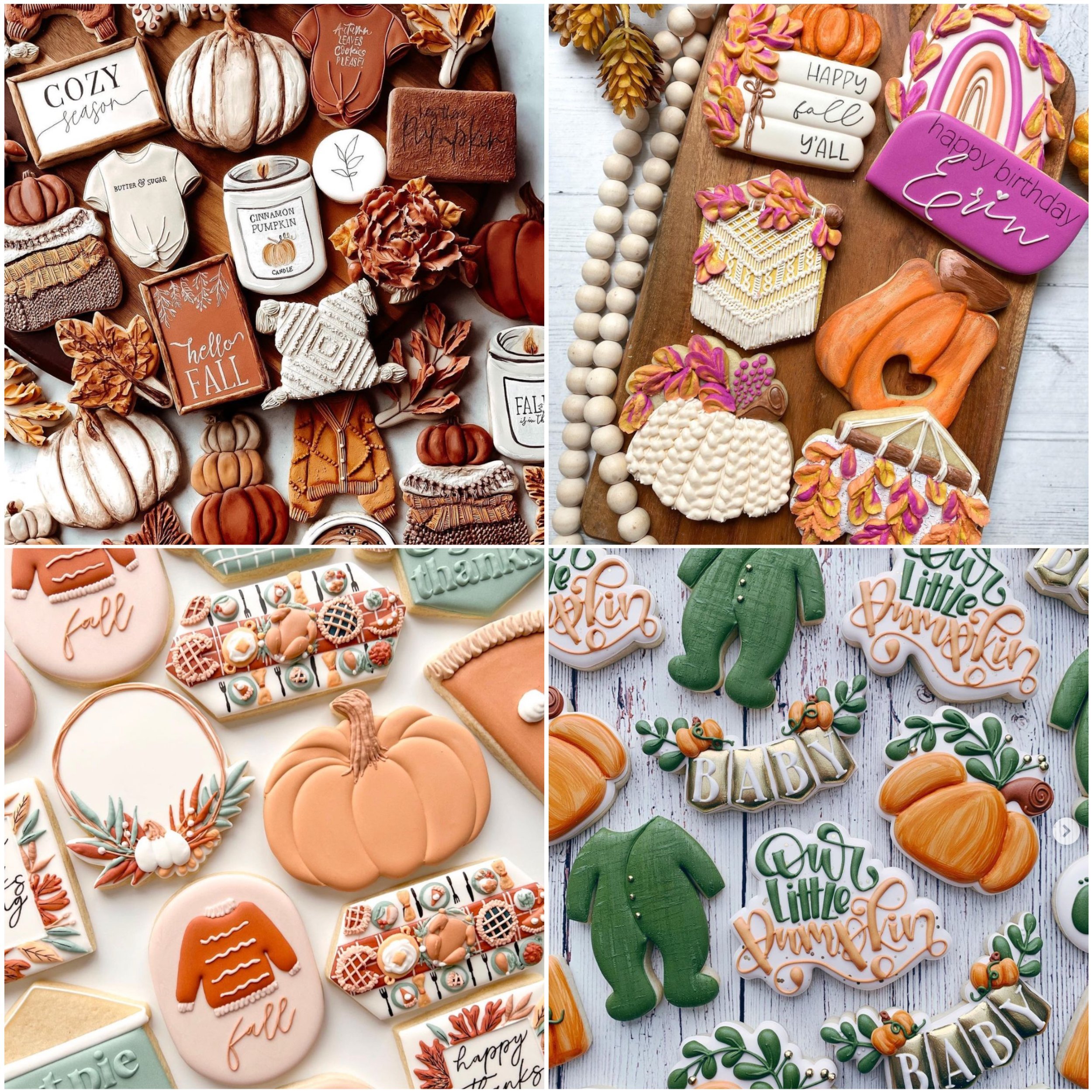 20+ Decorated Cookie Designs for Fall