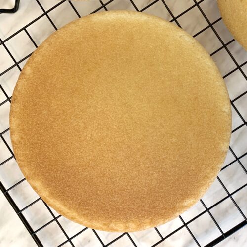 How To Bake Flat Cake Layers - Using a Simple Kitchen Towel